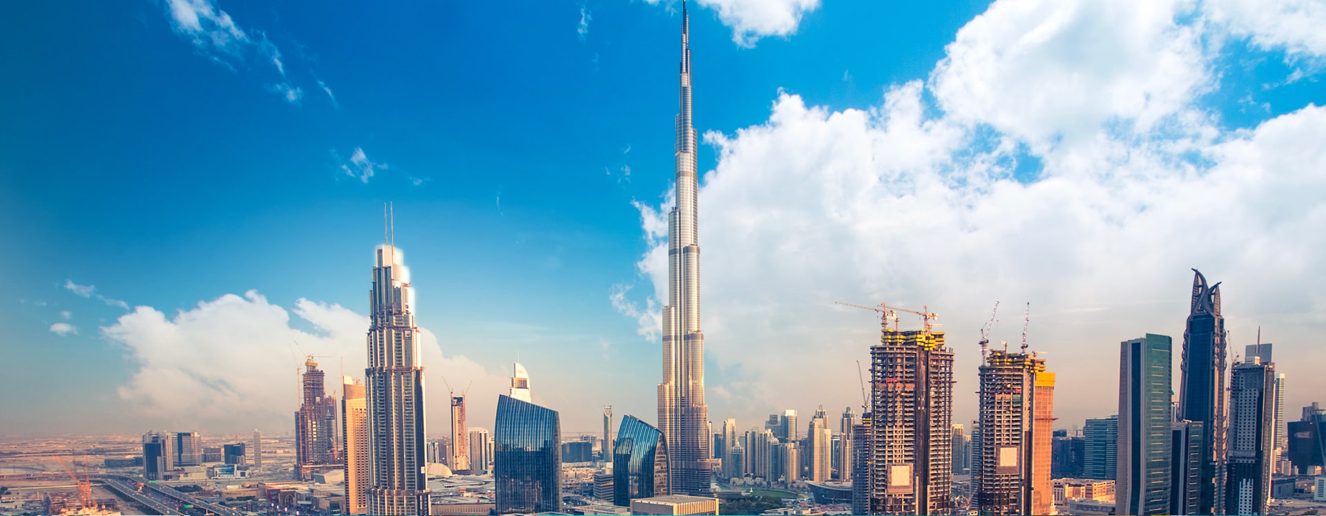 MSM Study Language School in Dubai – English and Other Language Courses